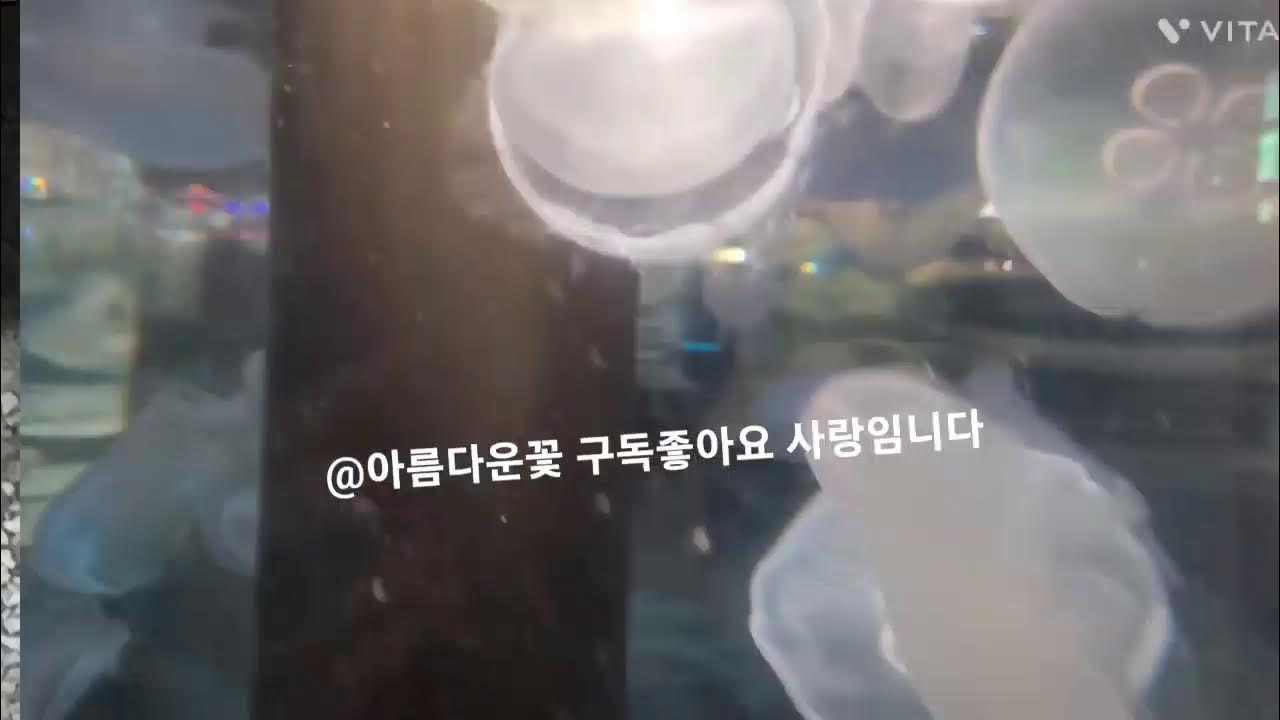 나연의 닭도리탕 이야기 아름다운꽃 라이브 방송 Eb 82 98 Ec 97 B0