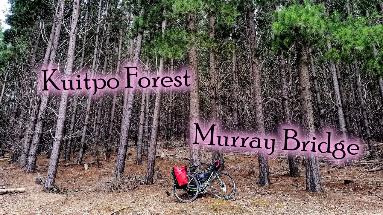 Adelaide, Kuitpo Forest, Murray Bridge, and Camping Alone | Murray ...