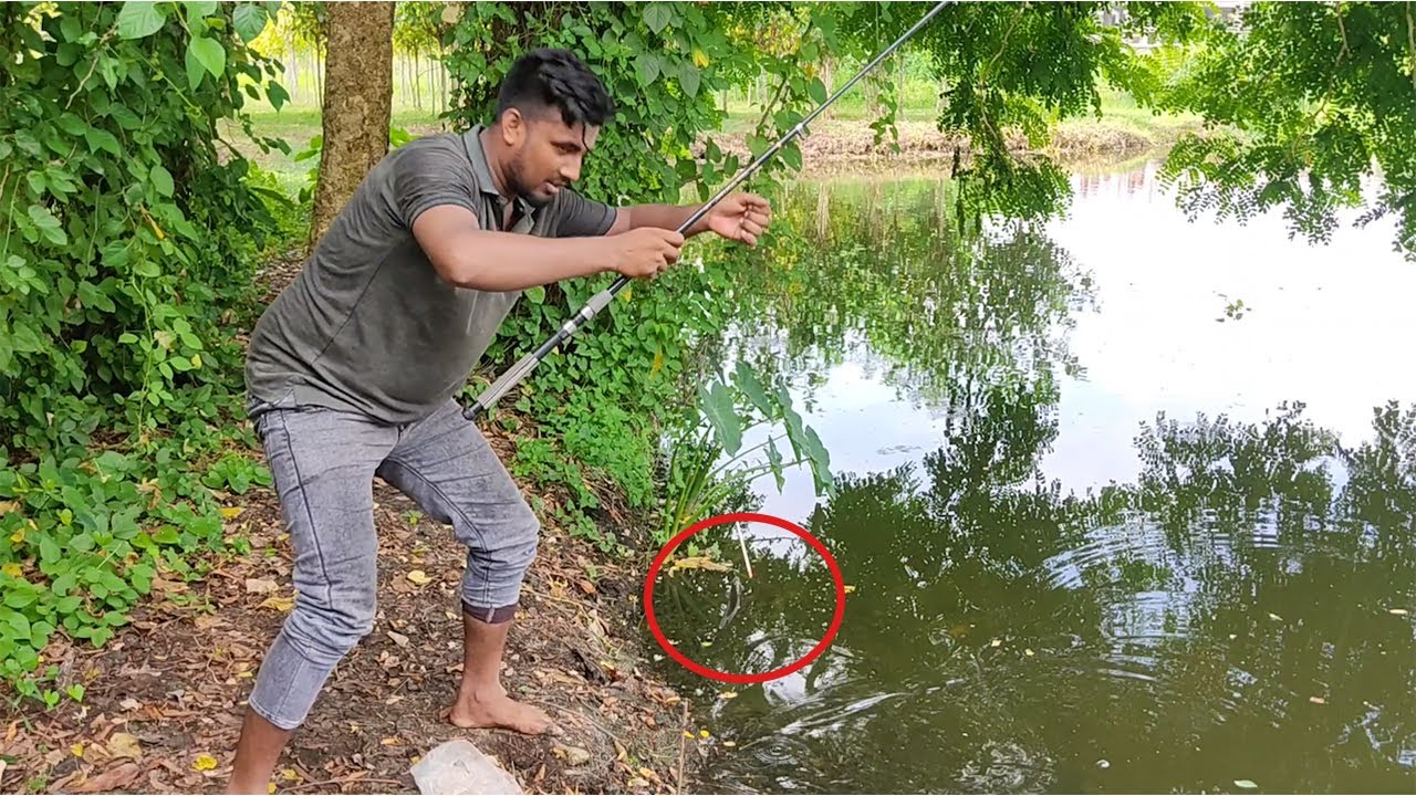 Catching small fish is great fun - YouTube
