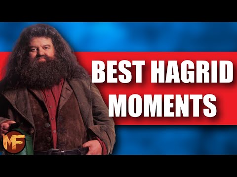 Top 10 Hagrid Moments (A Tribute to Robbie Coltrane): Harry Potter Ranking