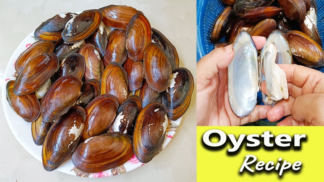 Jhinuk /Sip ka meat kaise banta hai | Oyster recipe Indian village ...