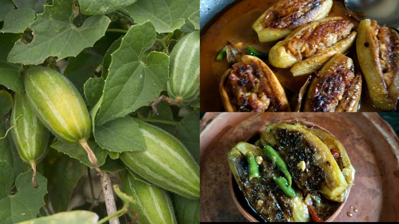 Niramish potoler dorma traditional dish #Bengali daily vlog - YouTube