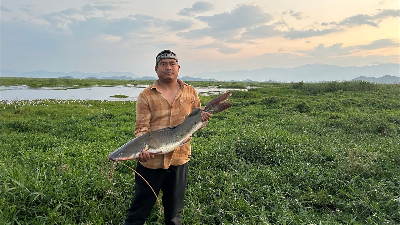 Nganan A Huge Fresh River Water Fish | Loktak Ema, Lafupat Tera - YouTube