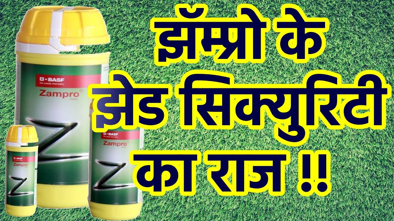 Zampro/BASF Zampro/Dimethomorph+Ametoctradin - YouTube