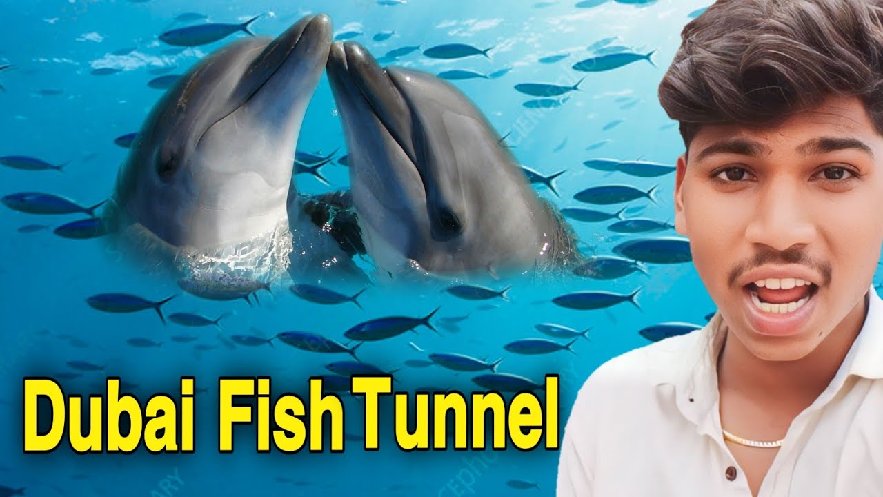 Jessica last word Dubai Aquarium Fish Tunnel | Ladkiya Diwani ho gayi 😍 ...