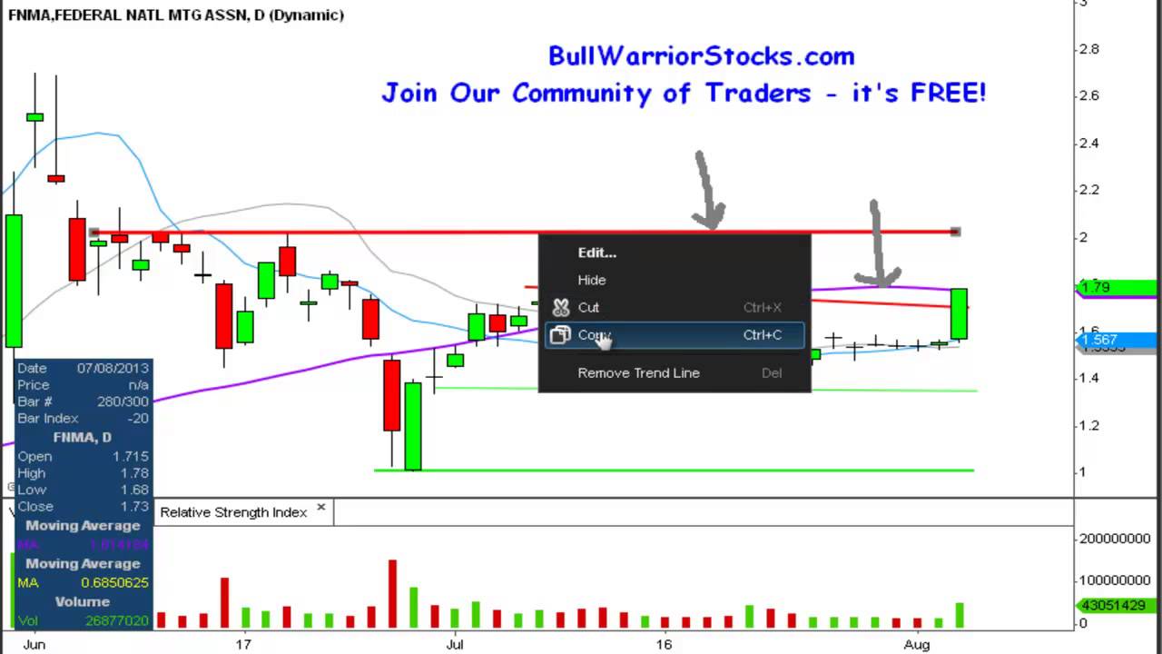 Federal National Mortgage Association (FNMA) Penny Stock Trading Chart ...