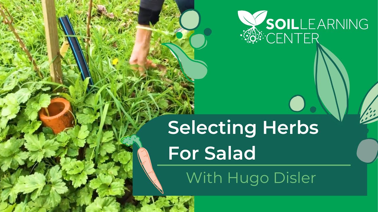 Selecting Herbs For Salad with Hugo Disler - YouTube