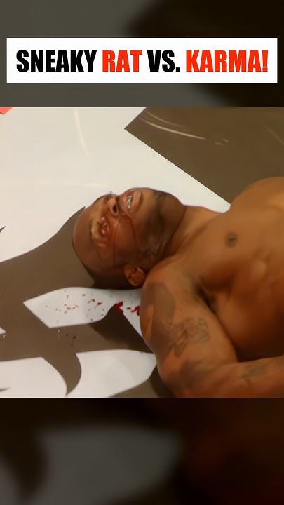 Real Rat got Karma! - YouTube
