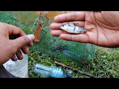 Bubu ikan DIY/ DIY fish trap - YouTube