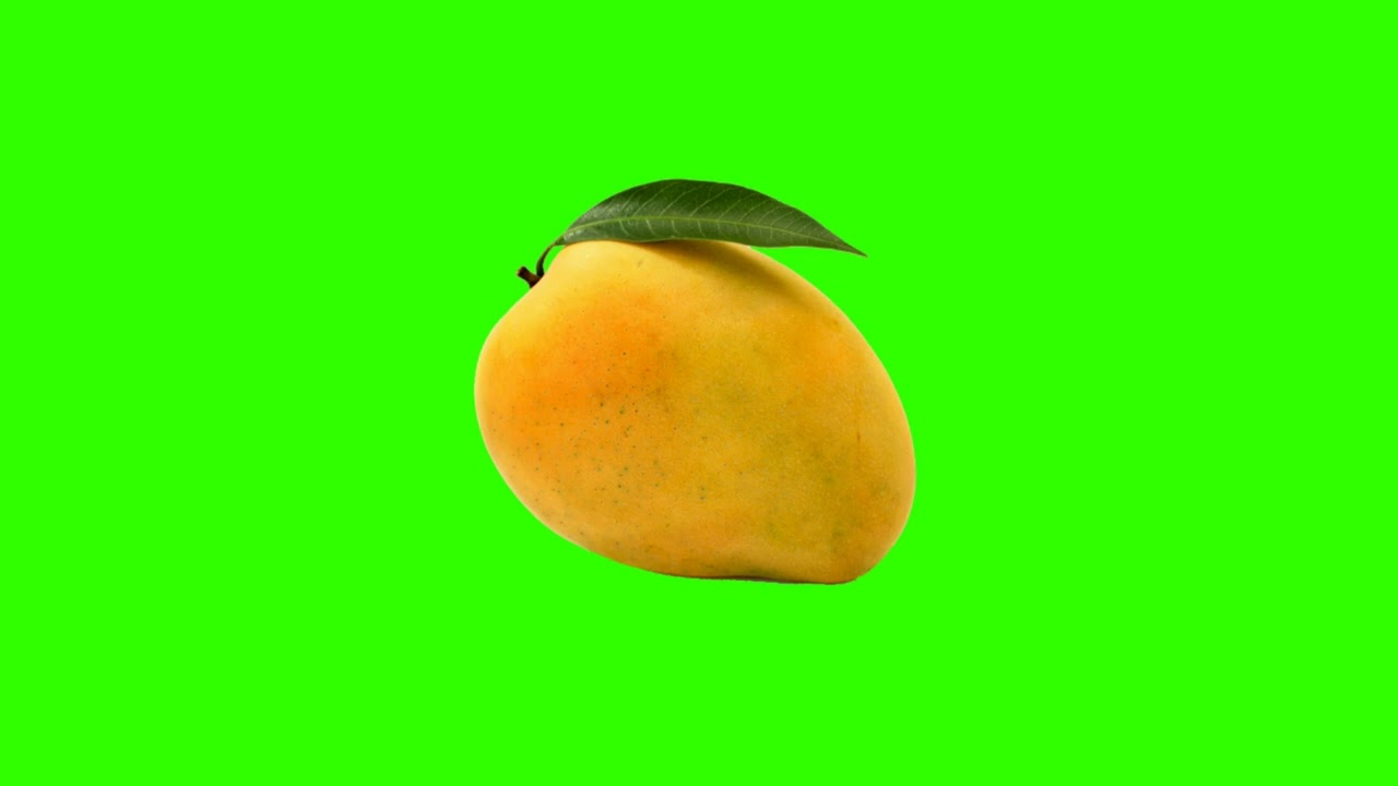Mango image 🥭 Green screen video free download - Free copyright - YouTube
