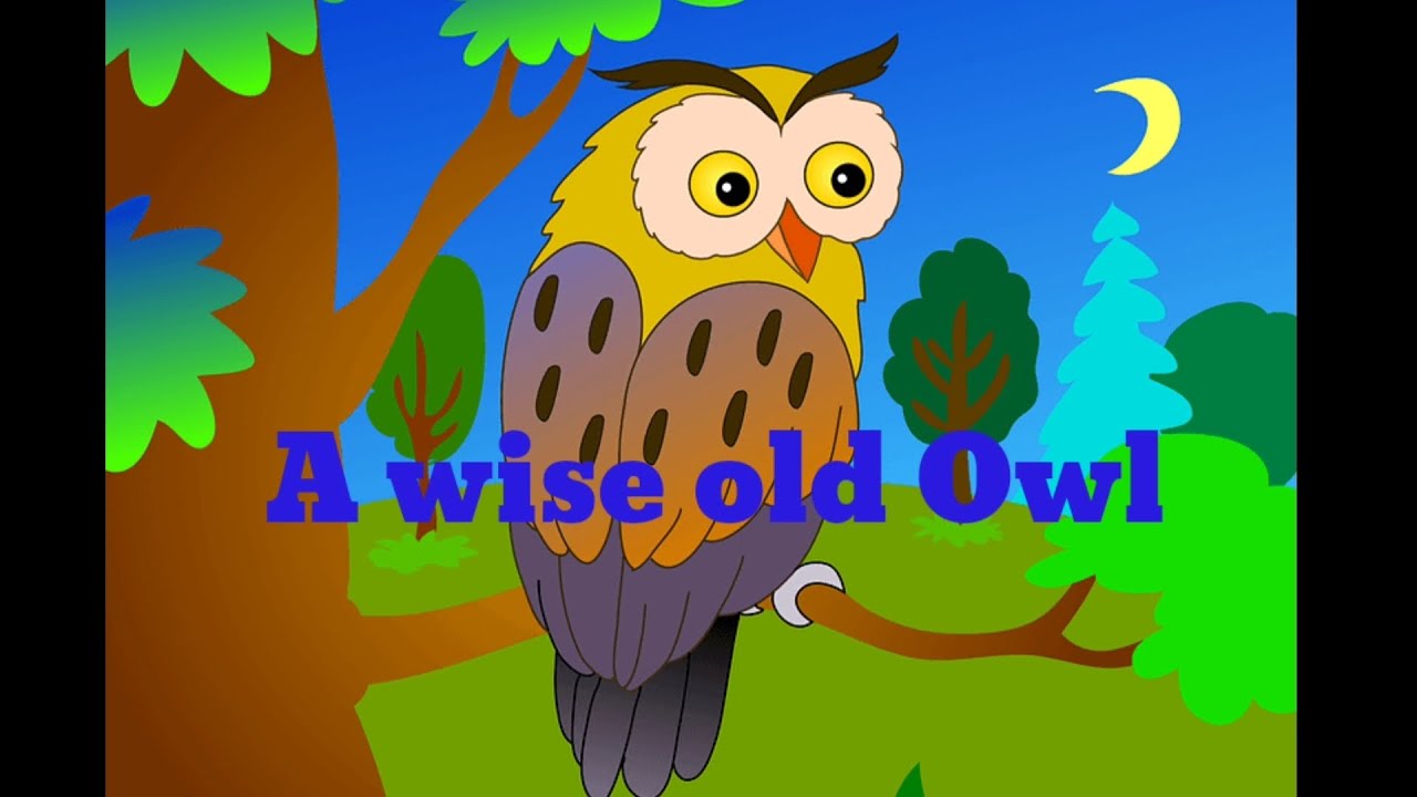 Ep-36: A wise old owl story narrated by Akam Quinker🤗 - YouTube
