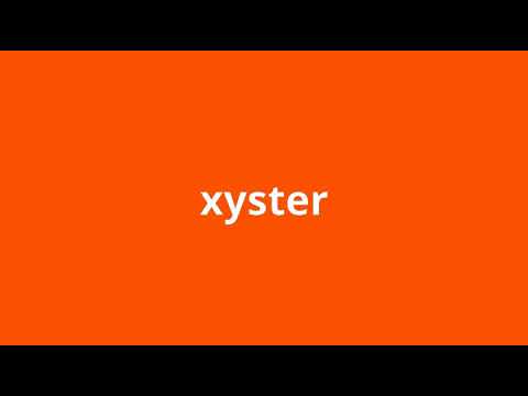 what is the meaning of xyster - YouTube