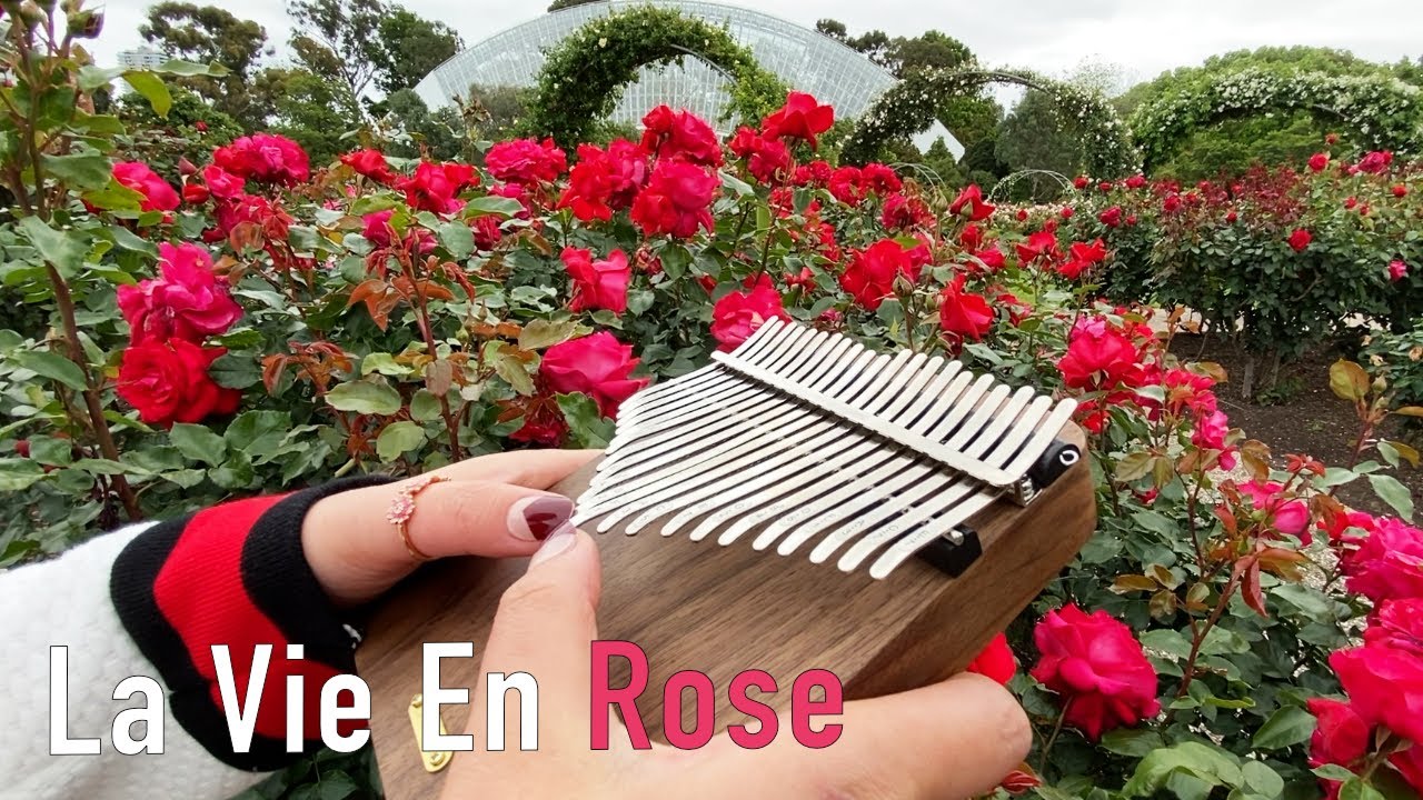 La Vie En Rose - Kalimba Relaxing Calming Music - YouTube
