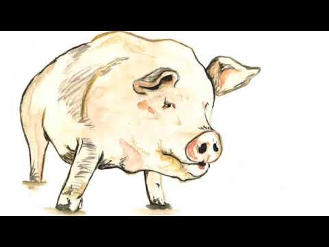 The Pig by Roald Dahl - YouTube