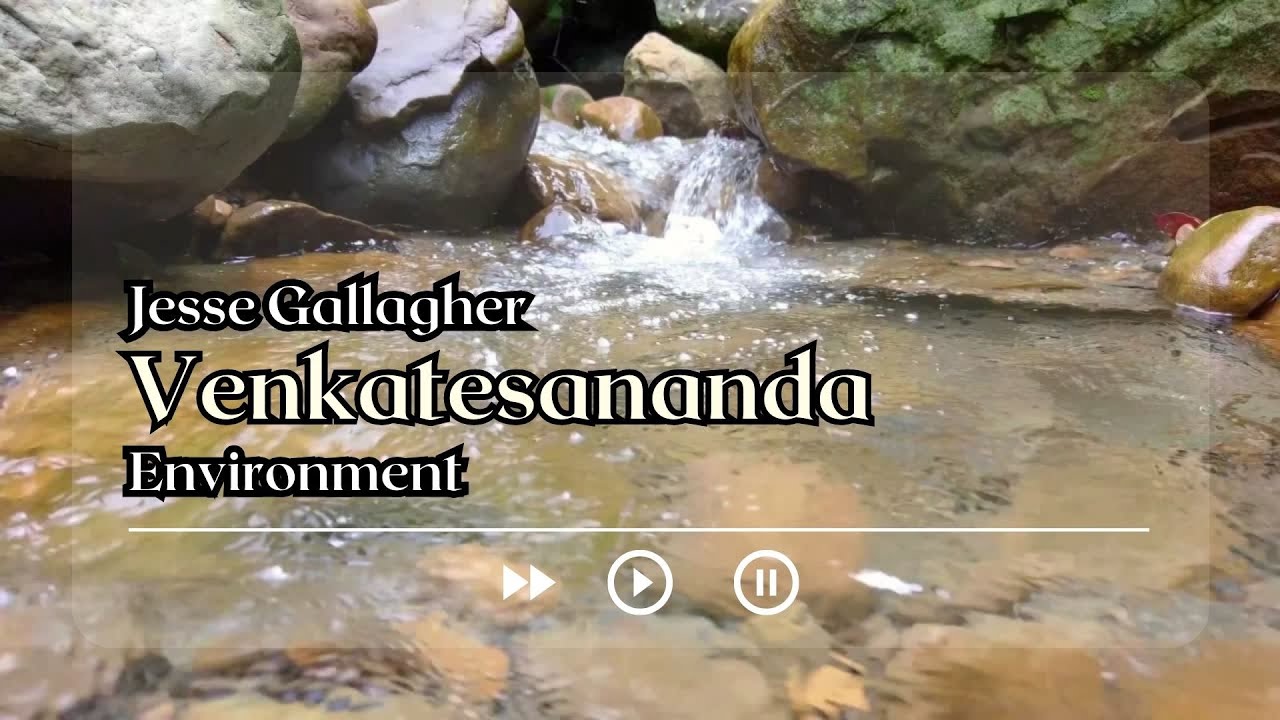 Venkatesananda - Jesse Gallagher, Music for Body and Spirit, relaxing ...