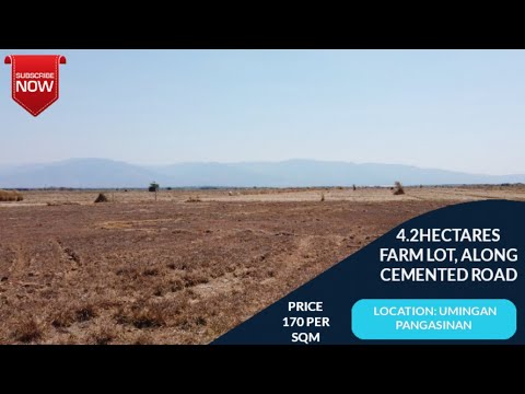 (V289) 4.2 HECTARES FARM LOT, ALONG CEMENTED ROAD, PRICE 170 PER SQM ...