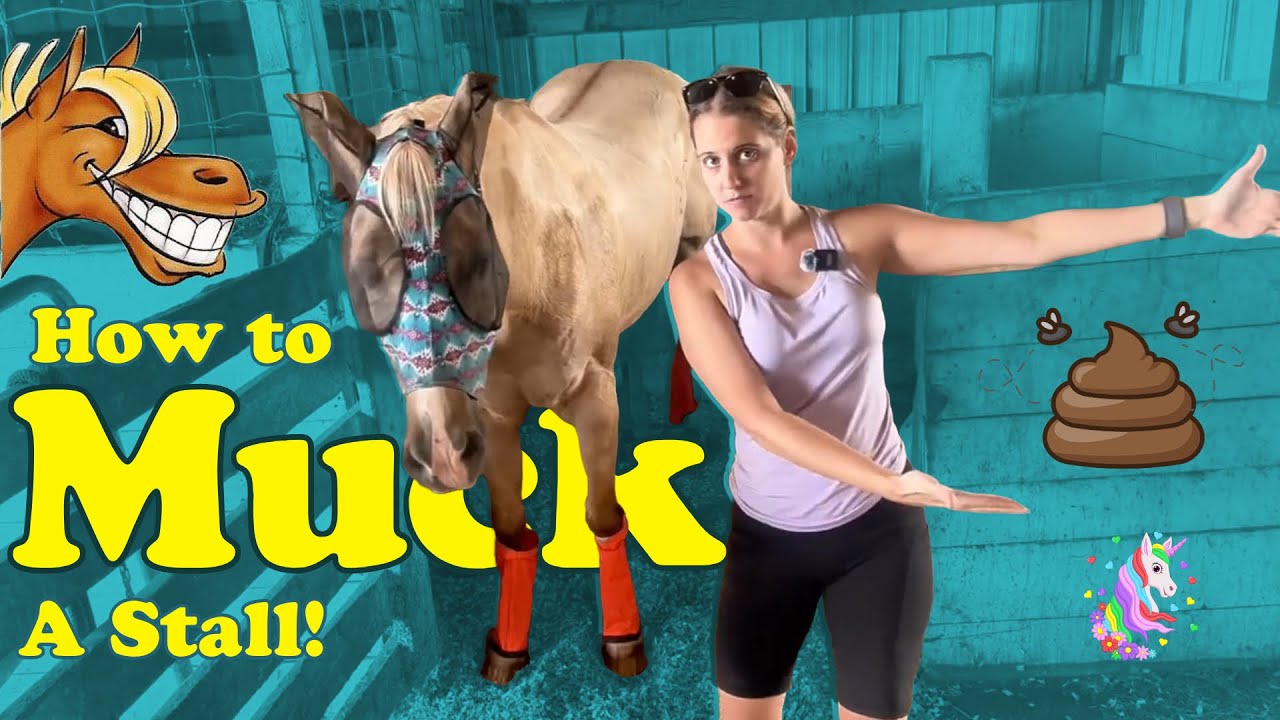 How to 💩 MUCK Out a Horse Stall! 🐎 It seems straightforward… but IS IT ...