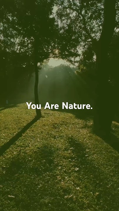 You Are Nature. - YouTube
