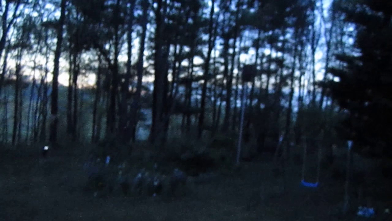 Spring Peepers Calling - YouTube