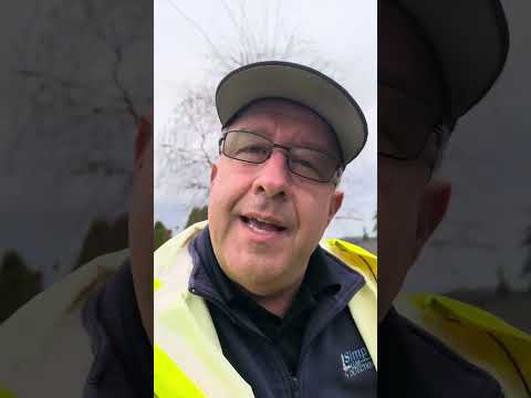 How to read a Sensus Water Meter @simplyleakdetection7871 - YouTube