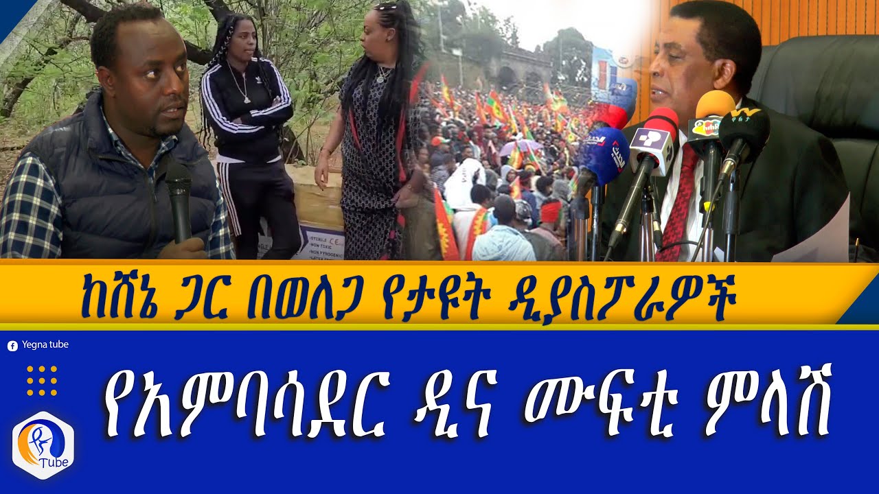 ከሸኔ ጋር በወለጋ የታዩት ዲያስፖራዎች | የአምባሳደር ዲና ሙፍቲ ምላሽ | Oneg Shene | Wolega ...