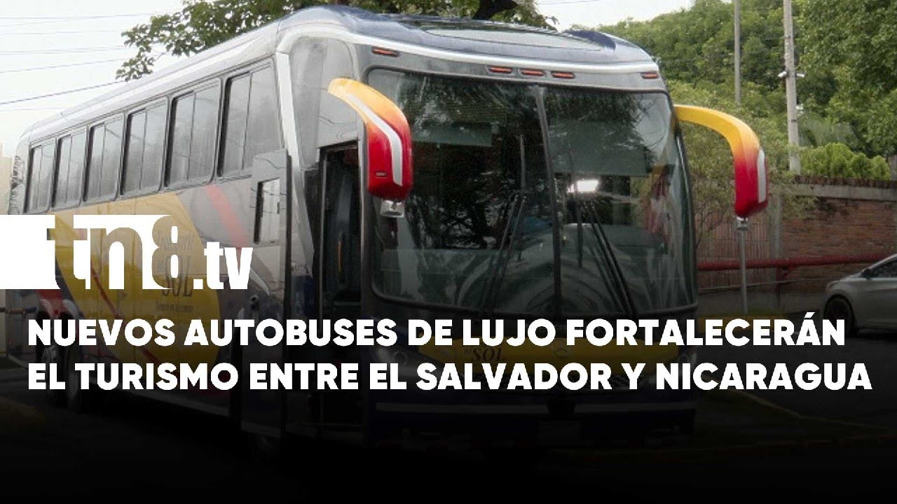 Transporte del Sol presenta nueva flota de autobuses de lujo en ...