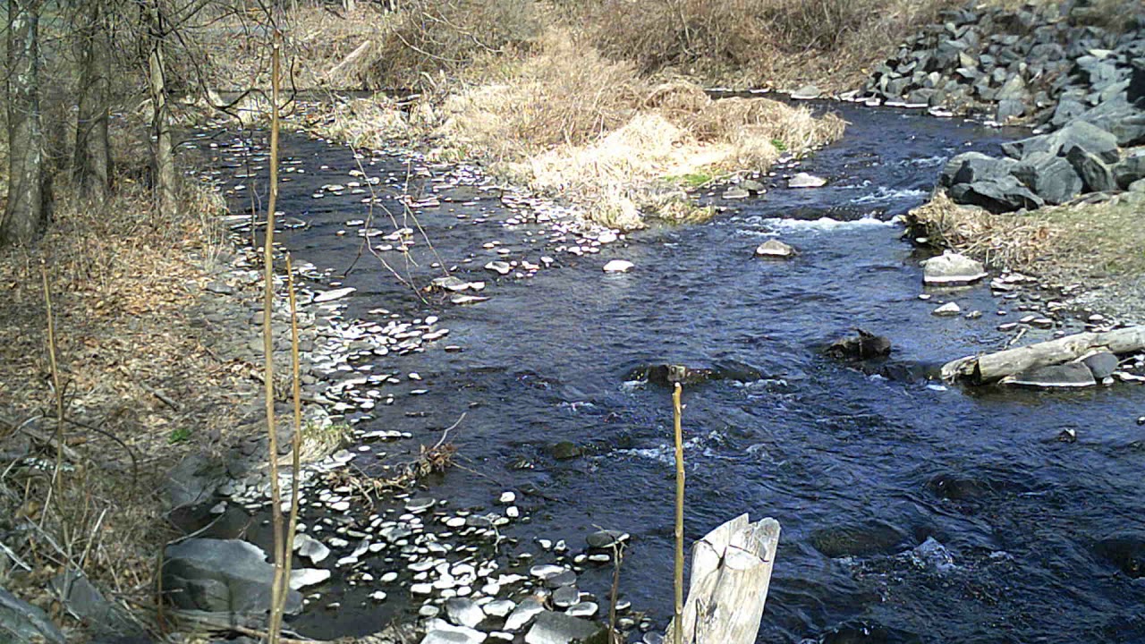 sambo creek bottom end - YouTube