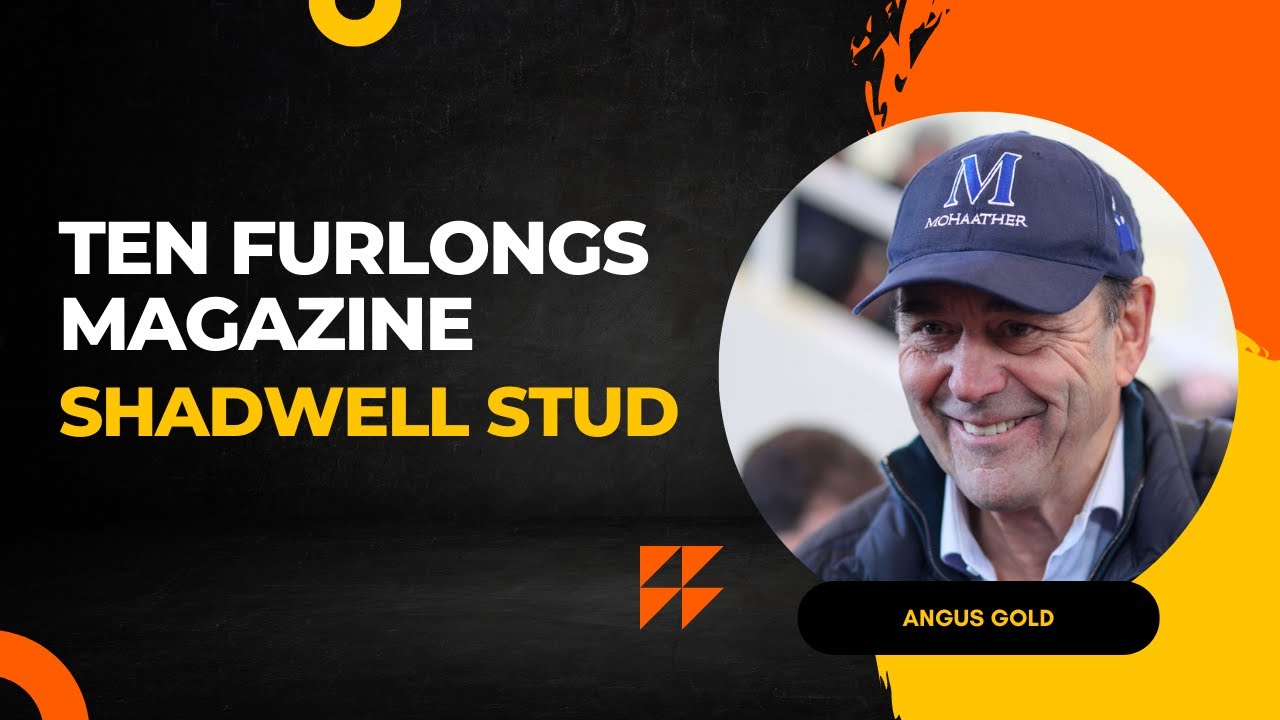 Angus Gold |trainer|Shadwell Stud - YouTube