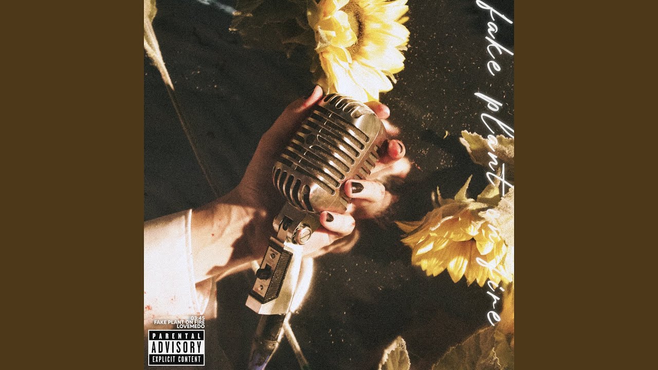 Fake Plant On Fire - YouTube Music
