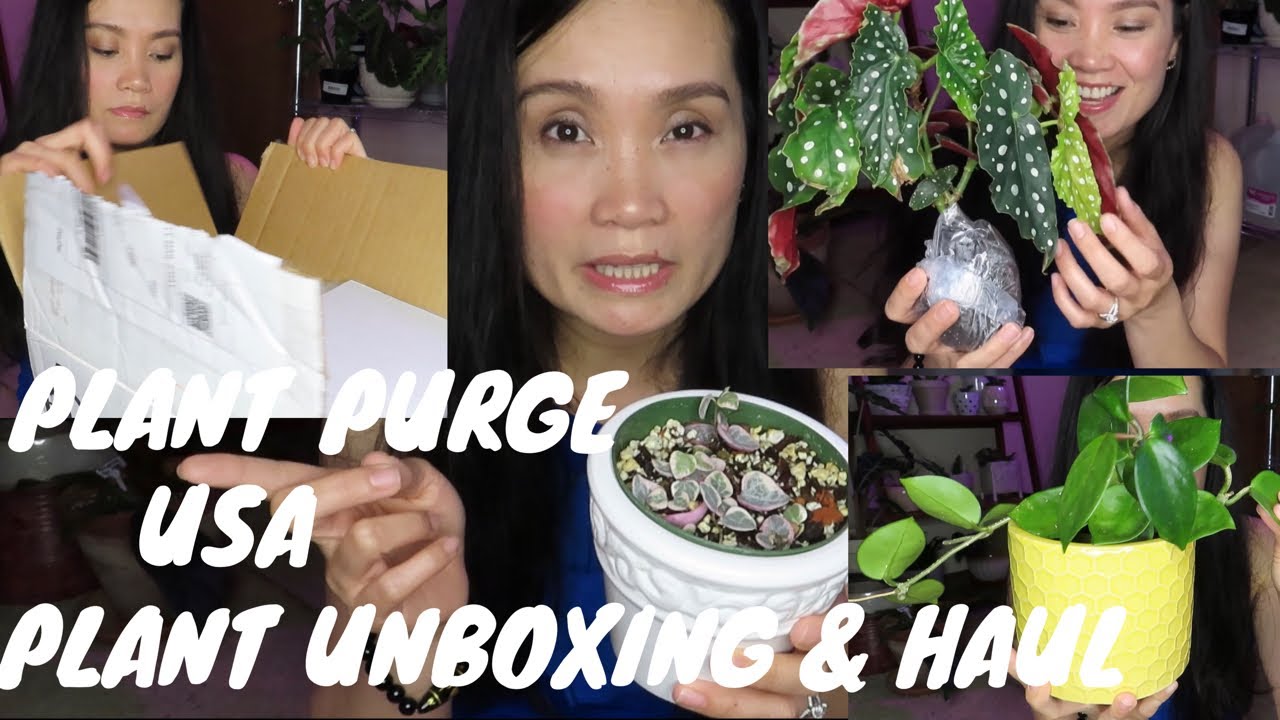 Plant Purge USA Plants Unboxing and Haul - YouTube