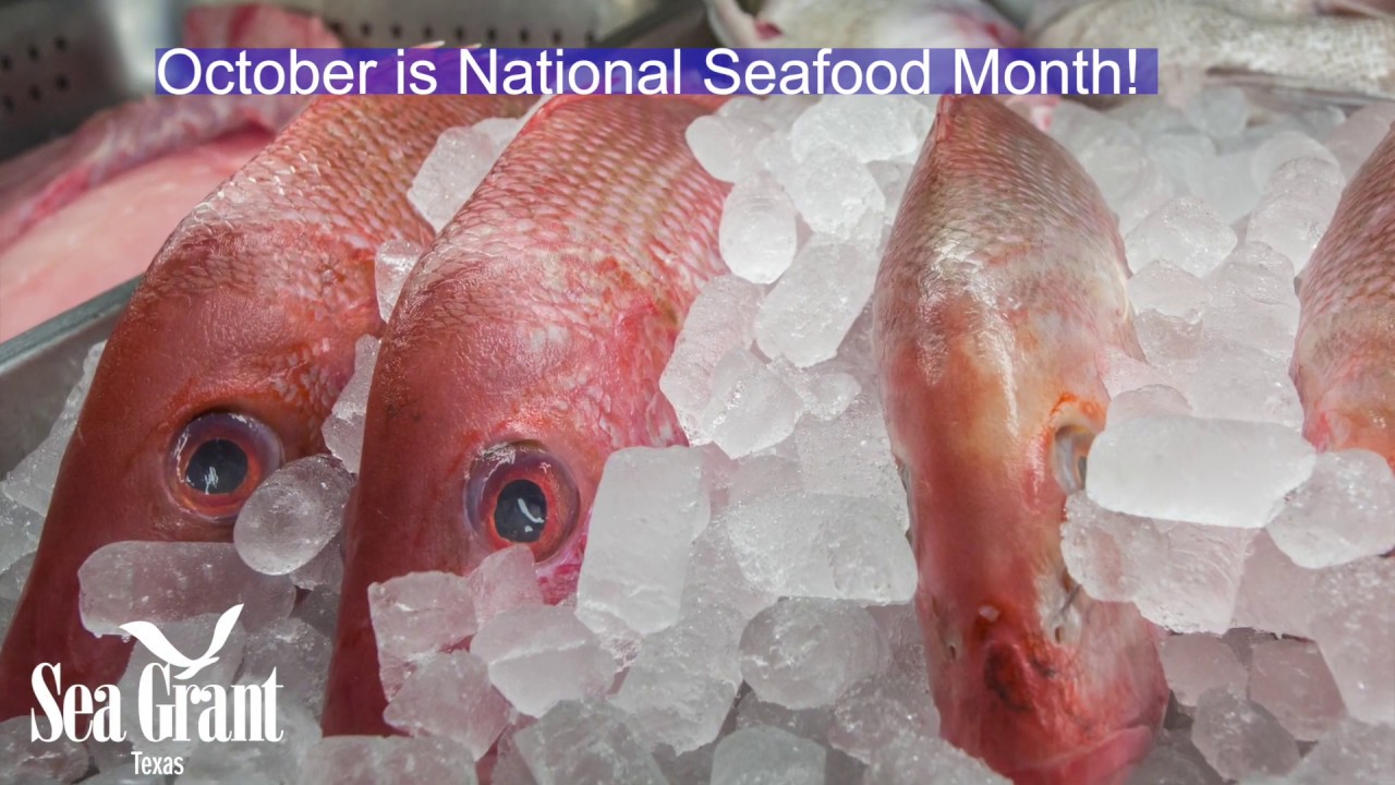 National Seafood Month: Laura's Challenge - YouTube