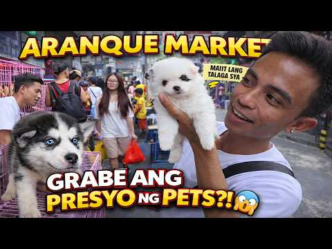 Magkano ang Mga Aso at Pusa sa ARRANQUE? (Full Tour) ARANQUE PET MARKET PRICE UPDATE 