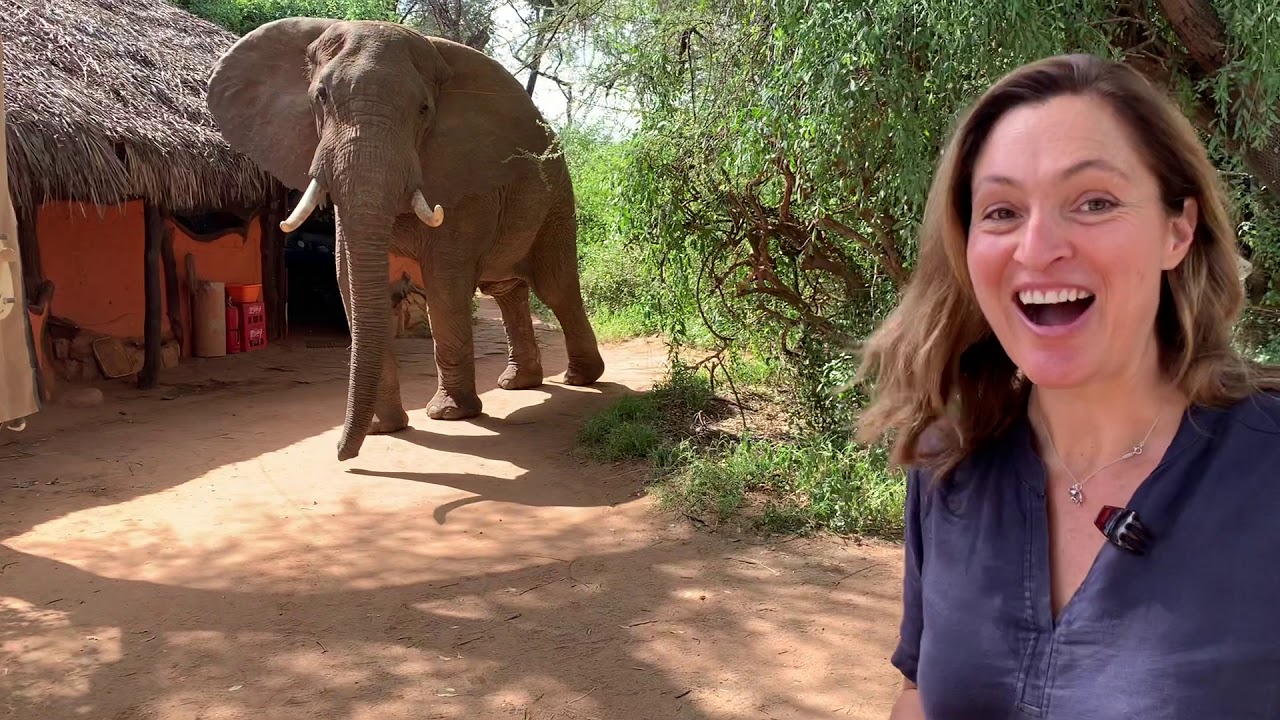 A Life with Elephants Speaking Tour - YouTube
