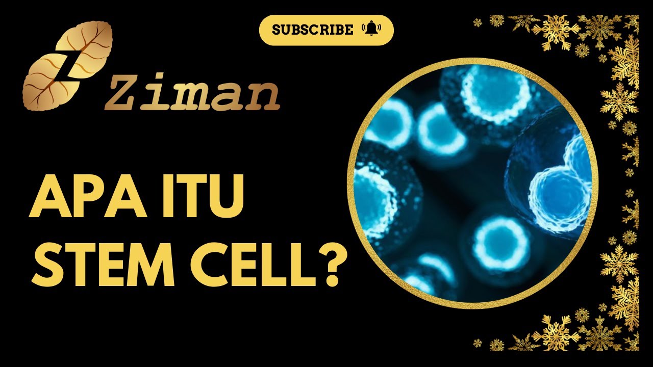 Apa Itu Stem Cell? - YouTube