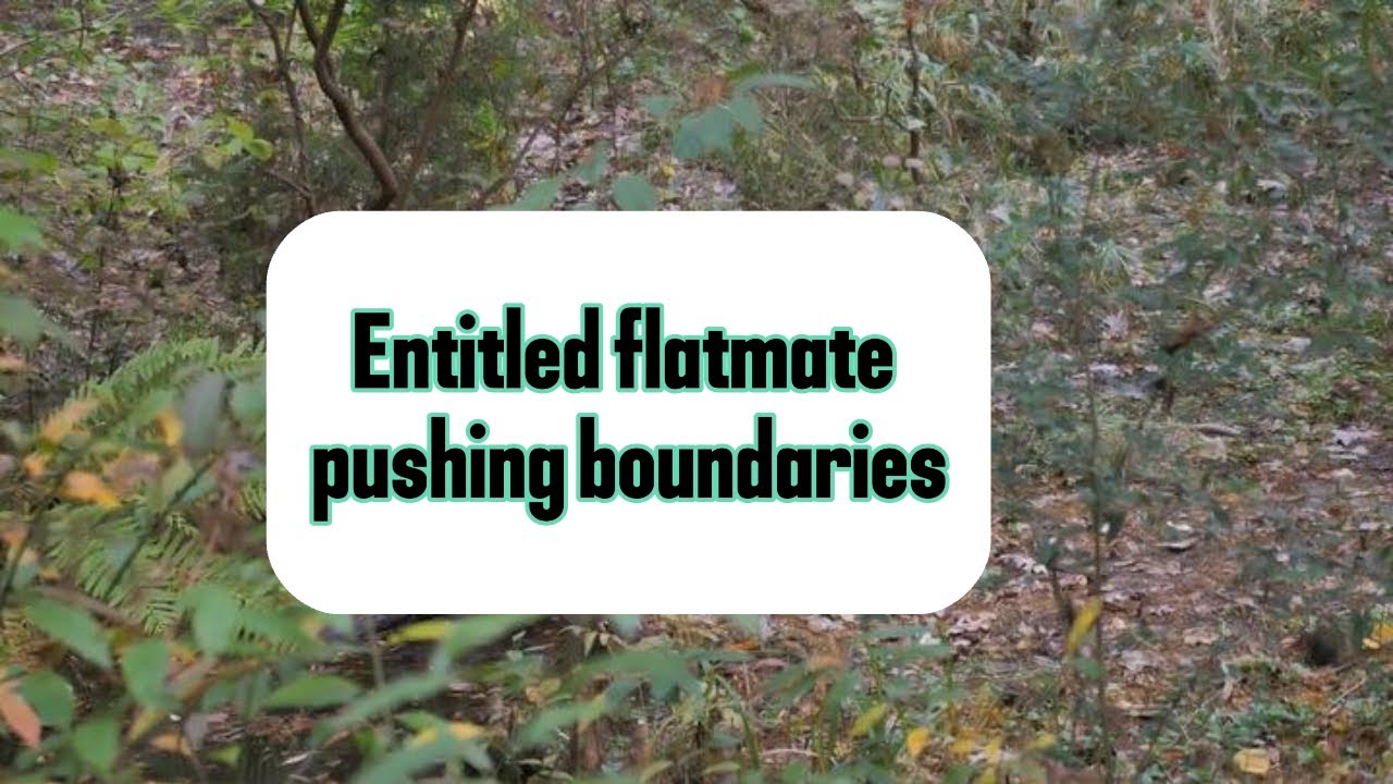 Entitled Flatmate pushing boundaries - YouTube