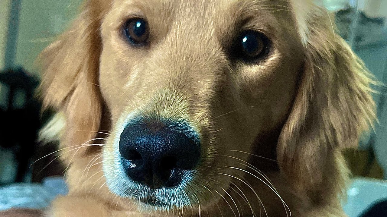 Zach Moore Podcast 31 - YouTube