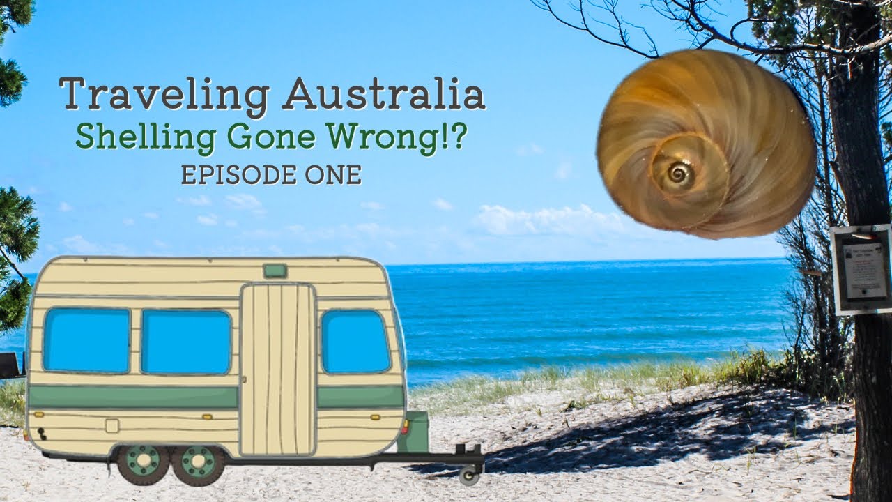 Traveling Australia for seashells, episode 1! Beach combing in Hervey ...