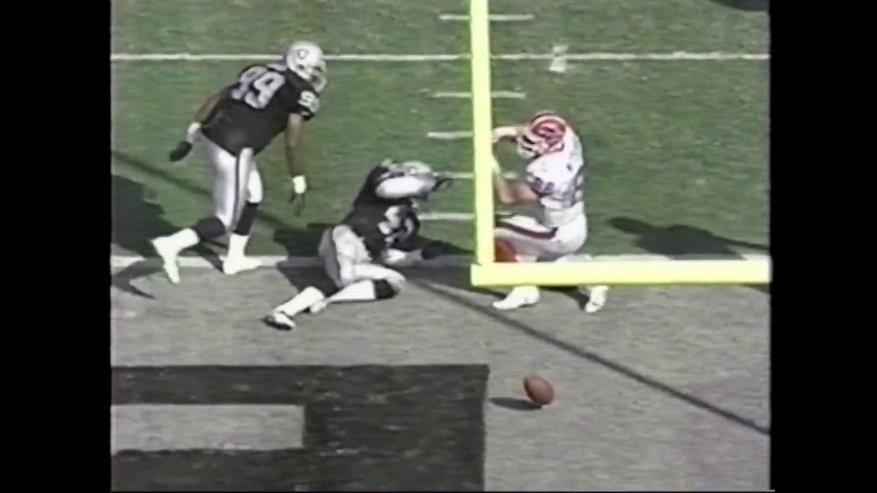Ronnie Lott Raiders