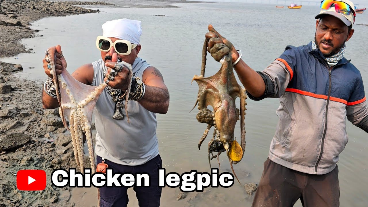 Chicken Legpic सोबत Octopus Hunting | आज माकल्या पकडला खूप त्रास झाला ...