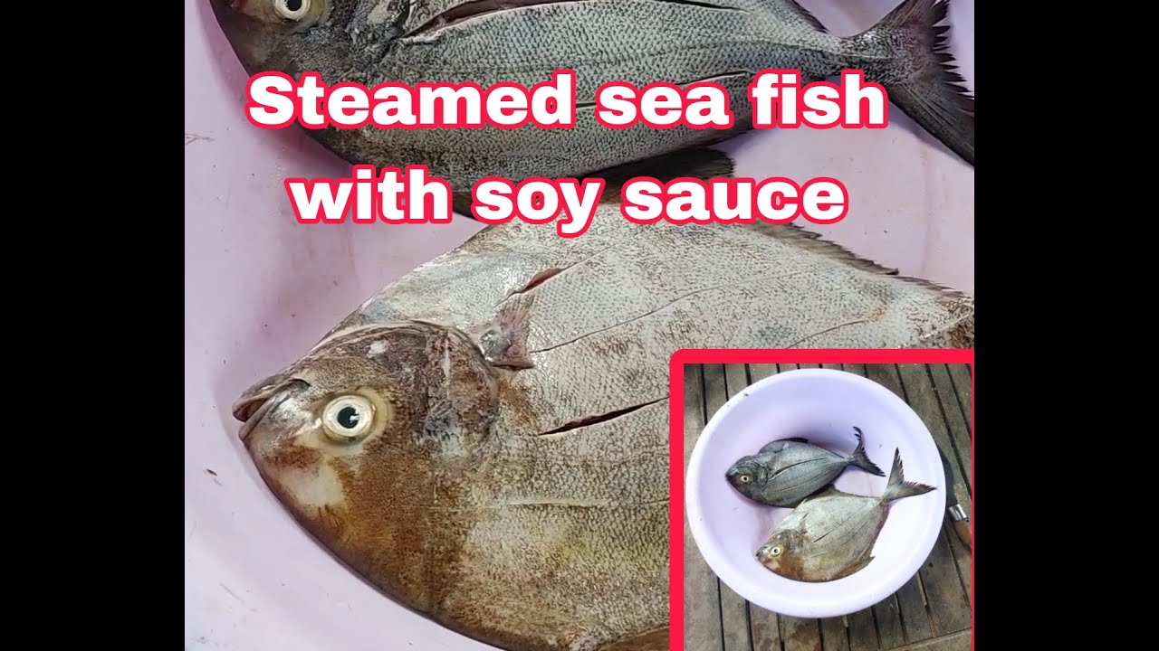 How to steam delicious sea fish with Soy sauce. - YouTube
