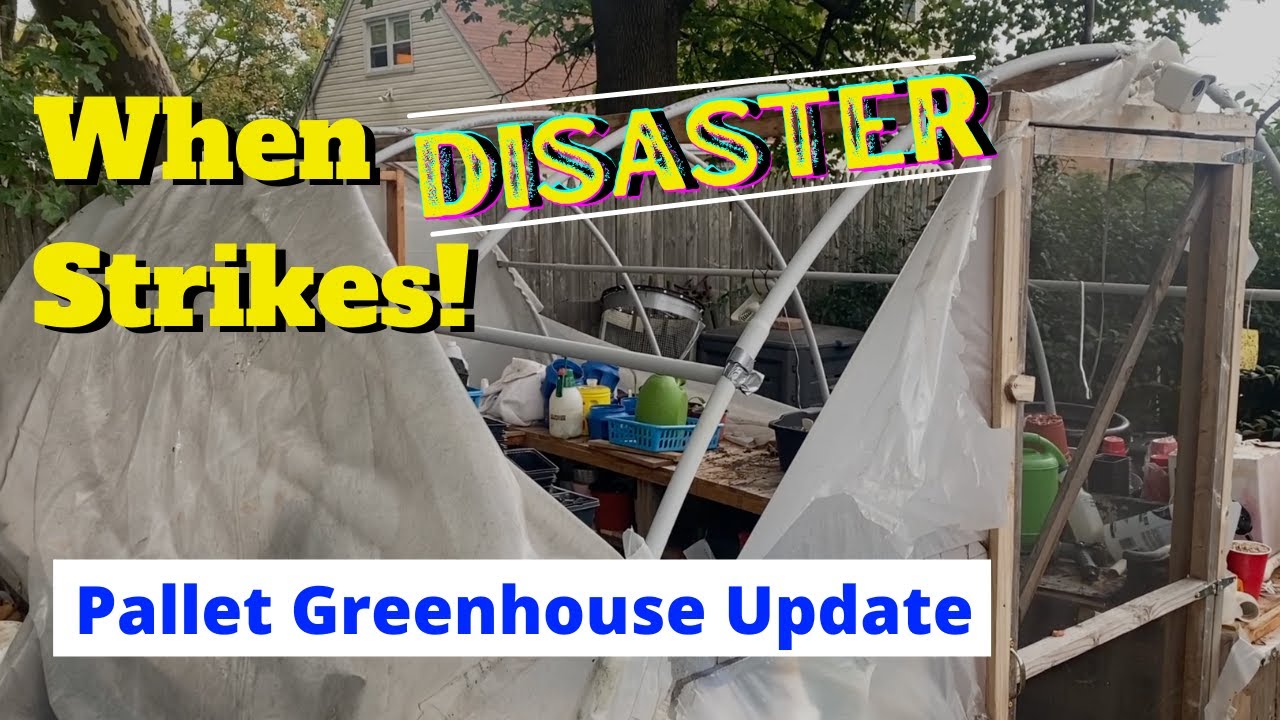 Resheathing the Greenhouse With New Plastic - YouTube
