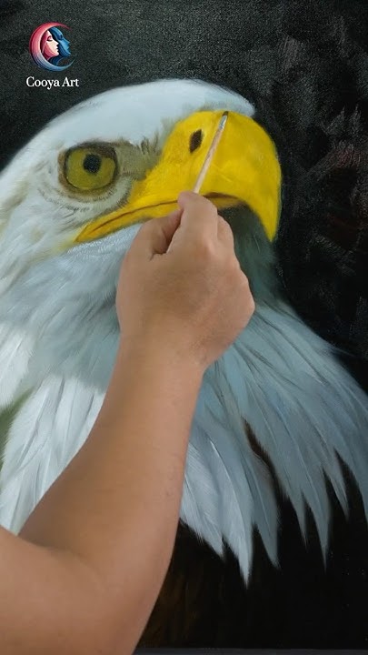 How To Draw A Realistic Bald Eagle step by step drawing - YouTube