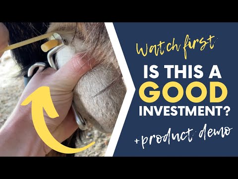 Amazon Finds - Farm Must Have - Goats - Bloodless Castration Bander Kit 45 Second Demo and Review