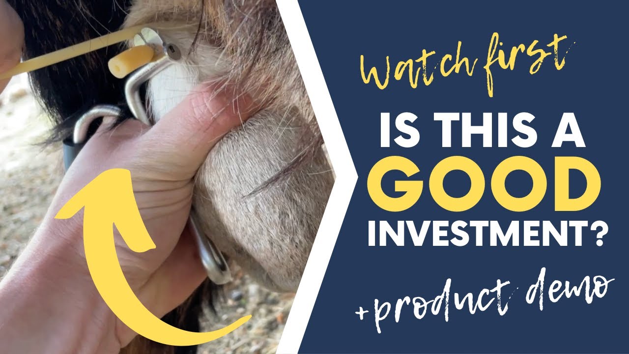 Amazon Finds - Farm Must Have - Goats - Bloodless Castration Bander Kit ...