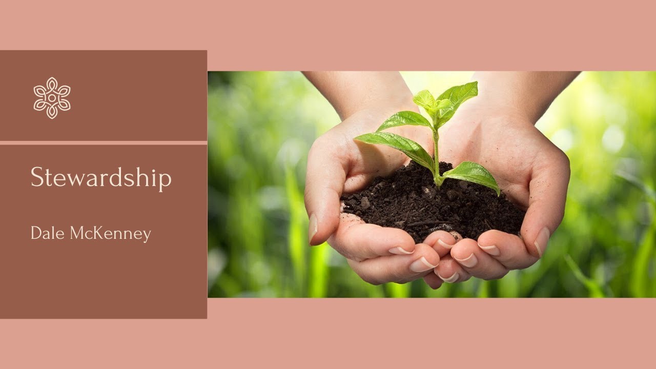 Stewardship - Stake High Council Talk by Dale McKenney - YouTube