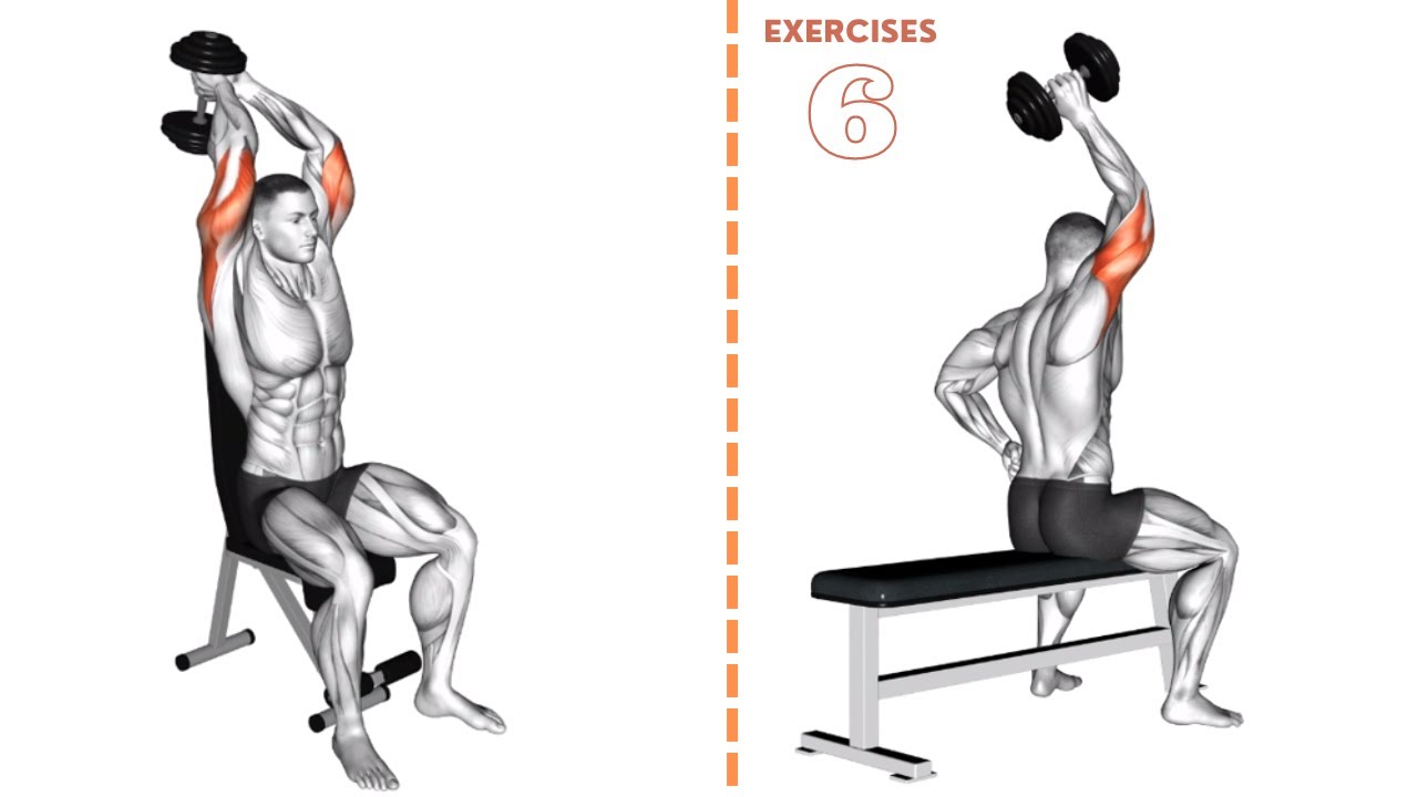 Triceps Workout with Dumbbell: Sculpt and Strengthen Your Arms with ...