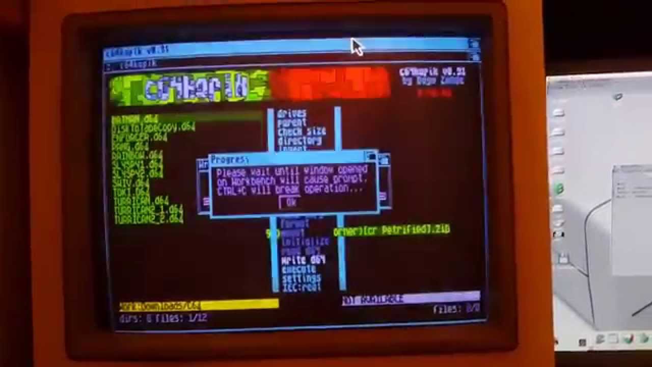 Amiga Dual Monitor - AGA + RTG Simultaneously - YouTube