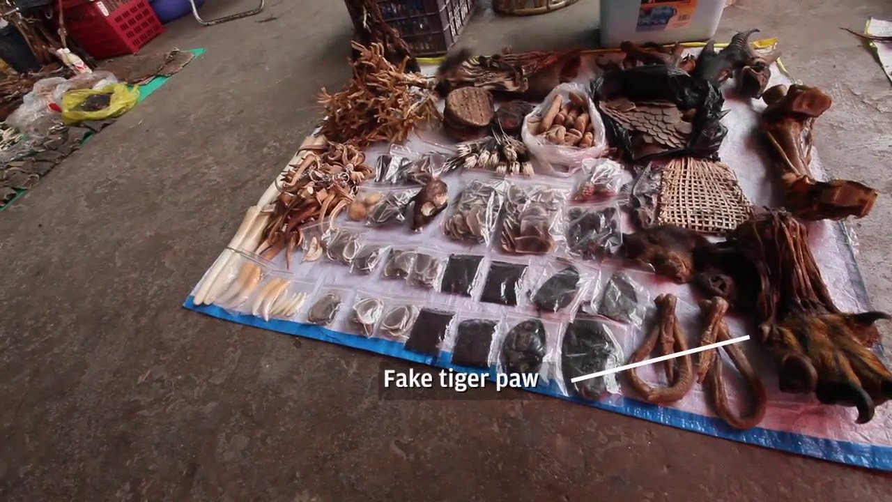 A market in Mong La, Myanmar on the border with China - YouTube