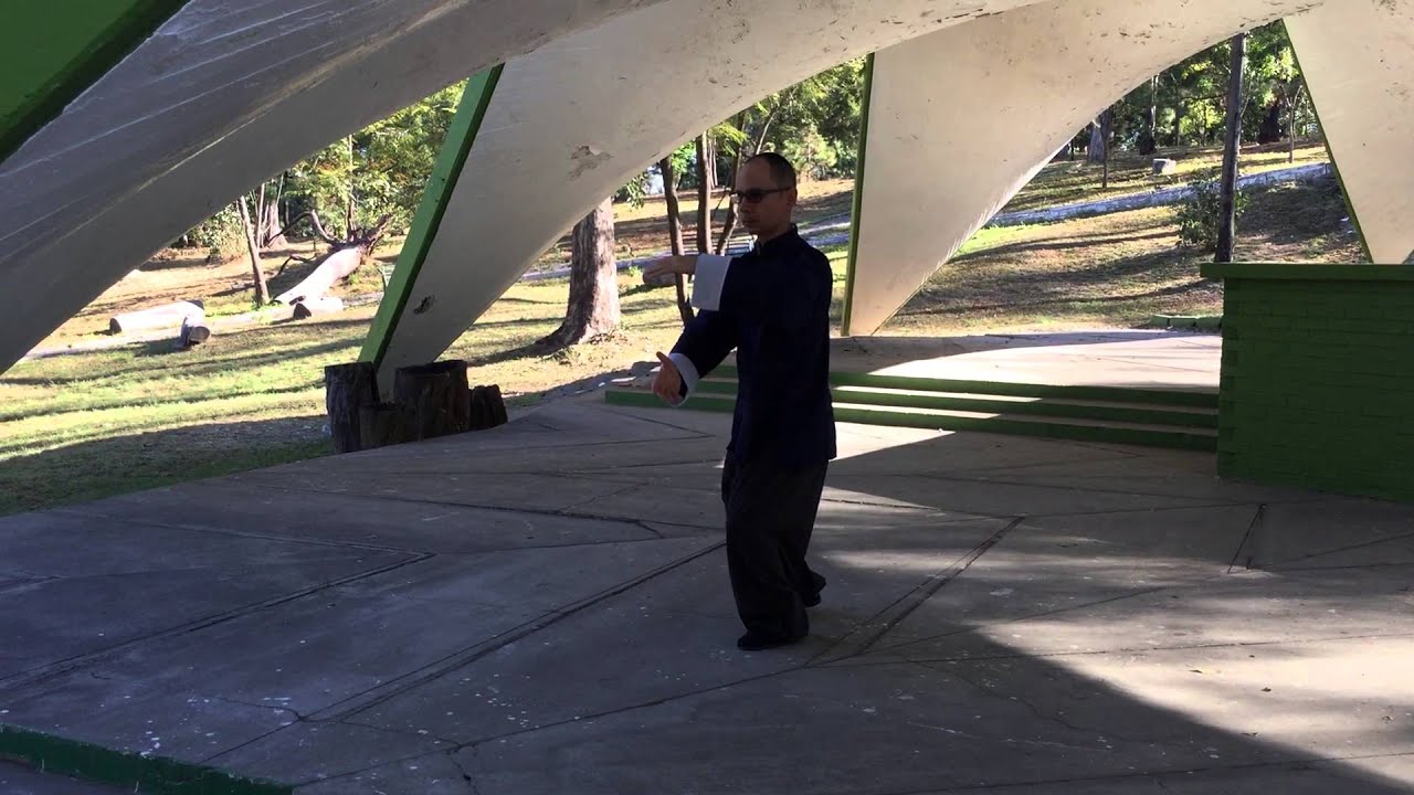 Second section of Yang style Tai Chi Chuan Sifu James Wing Woo method ...