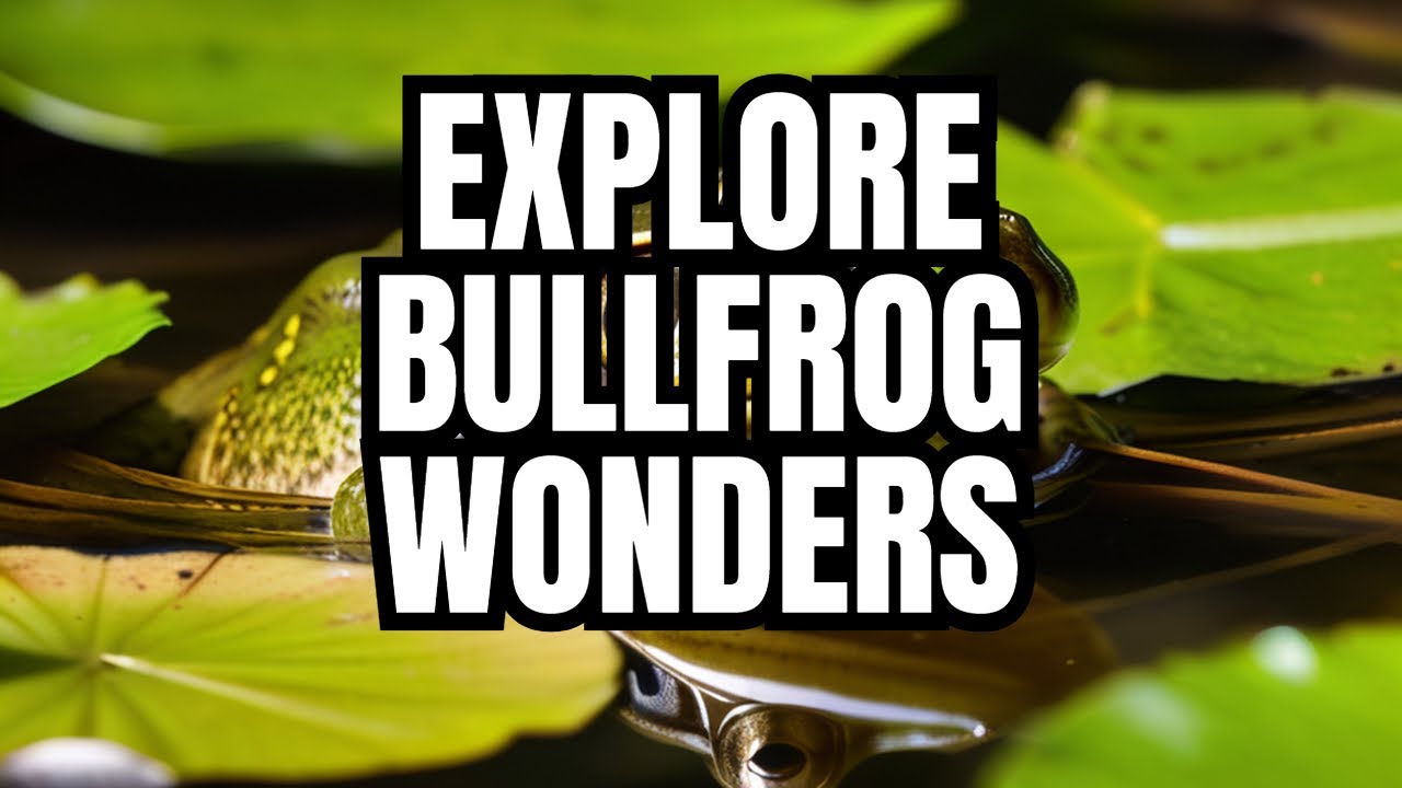 Exploring the Majesty of the American Bullfrog: Fascinating Facts and ...